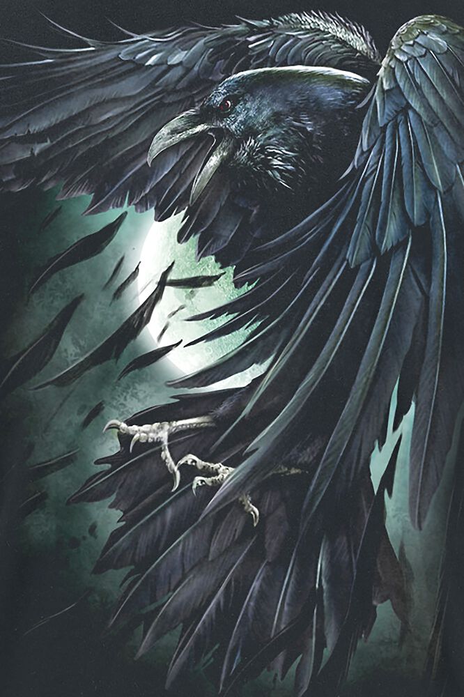 Shadow Raven | Spiral T-Shirt | EMP