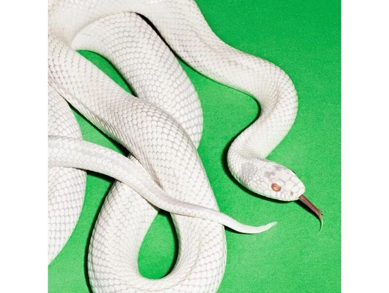 private music | Deftones LP | EMP